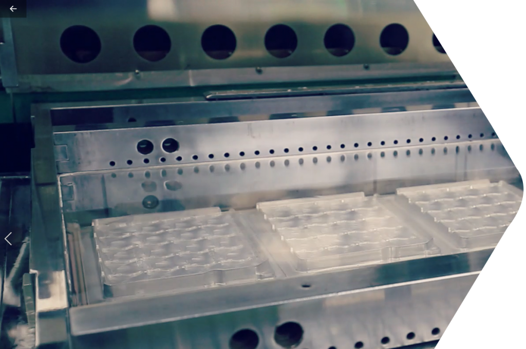 Thermal Forming Tray | Food Tray Malaysia